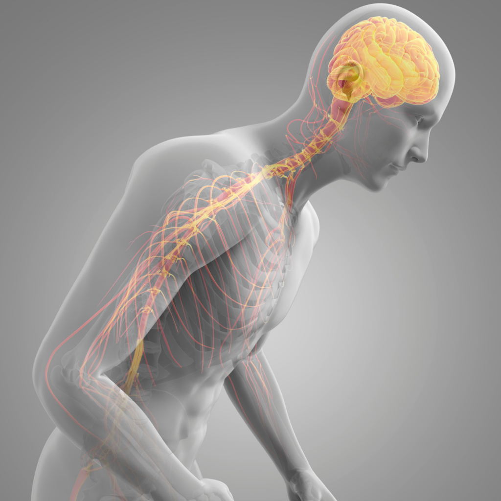 Parkinson's Disease & LSVT BIG® - Carolina Physical Therapy